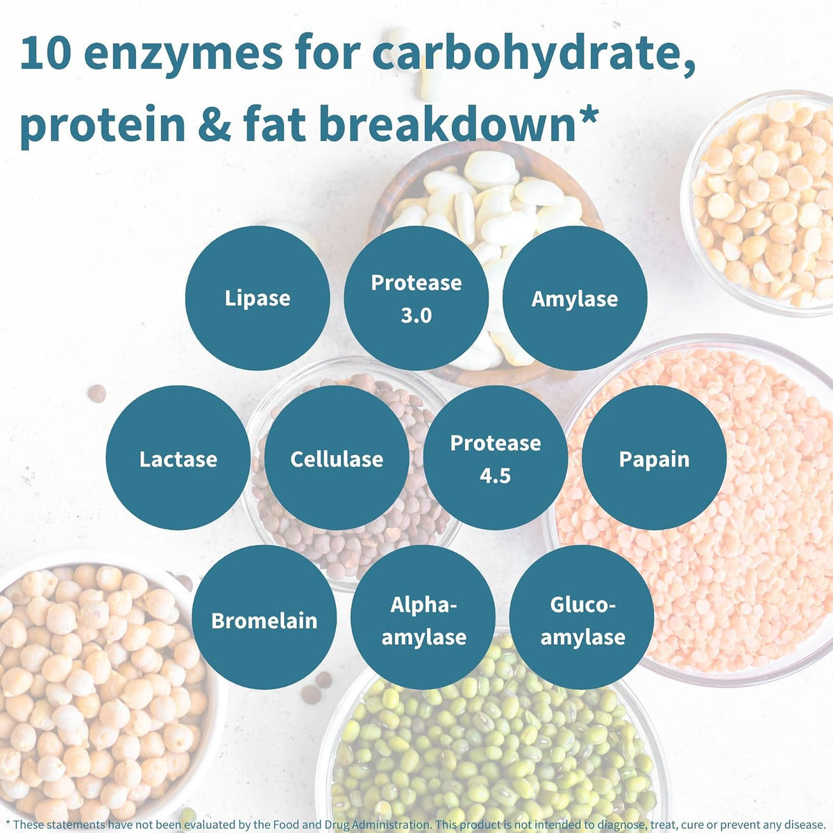 support digestive health with enzymes