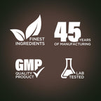 support digestive health with enzymes