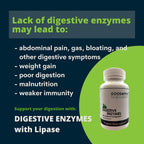 support digestive health with enzymes