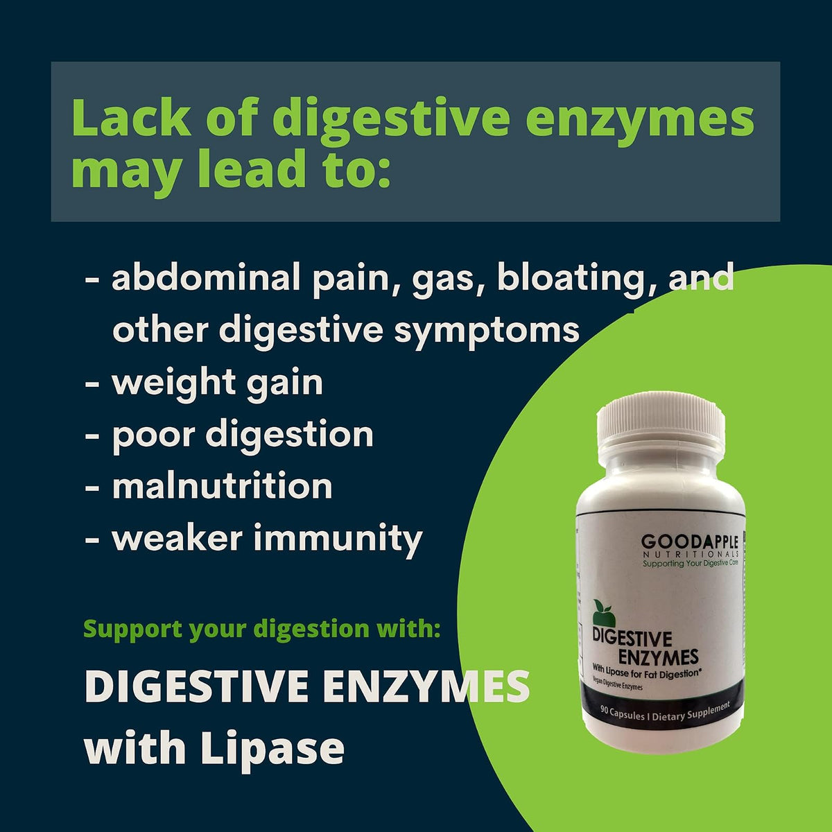 support digestive health with enzymes