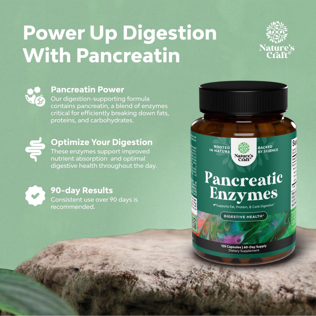 support digestive health with enzymes