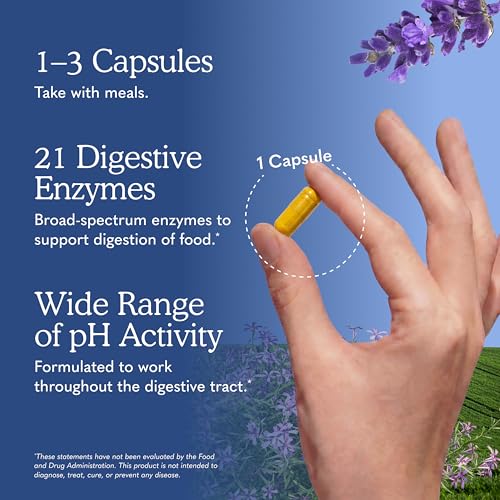 support digestive health with enzymes