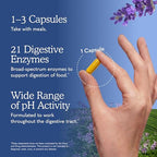 support digestive health with enzymes