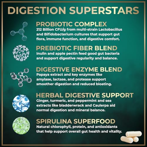 support digestive health with enzymes