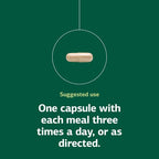 support digestive health with enzymes