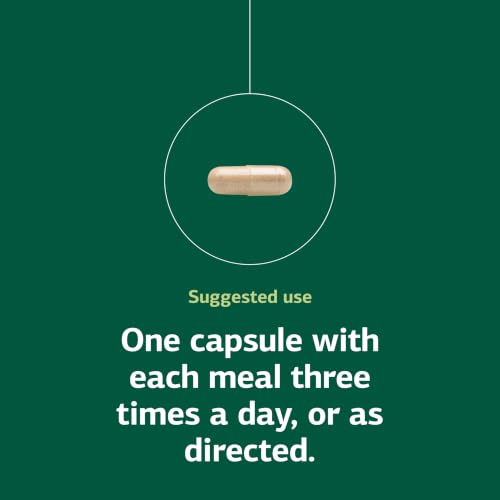 support digestive health with enzymes