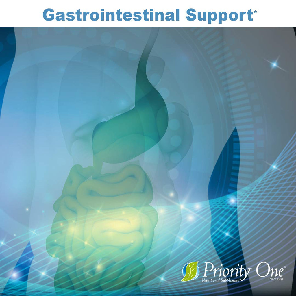 support digestive health with enzymes