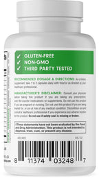 support digestive health with enzymes