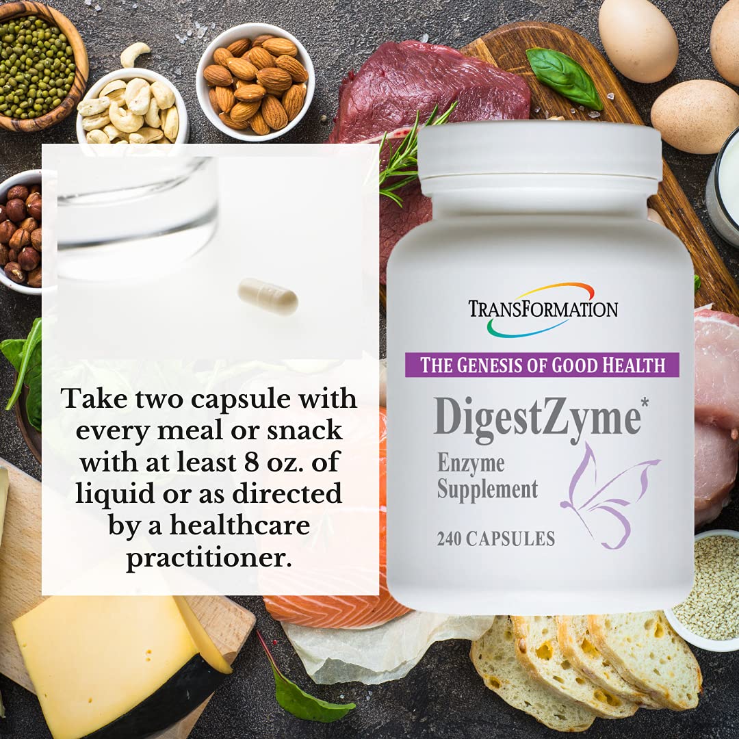 support digestive health with enzymes