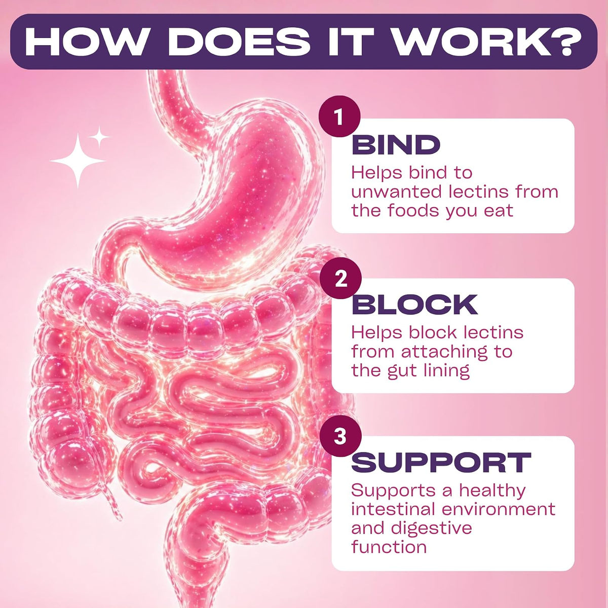 support digestive health with GOBIOTIX