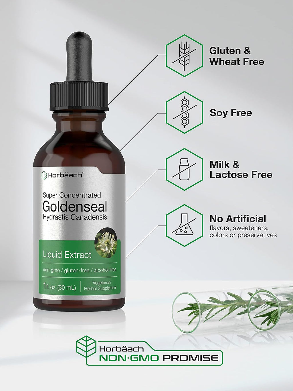 support digestive health with goldenseal