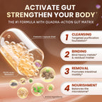 support digestive health with herbs