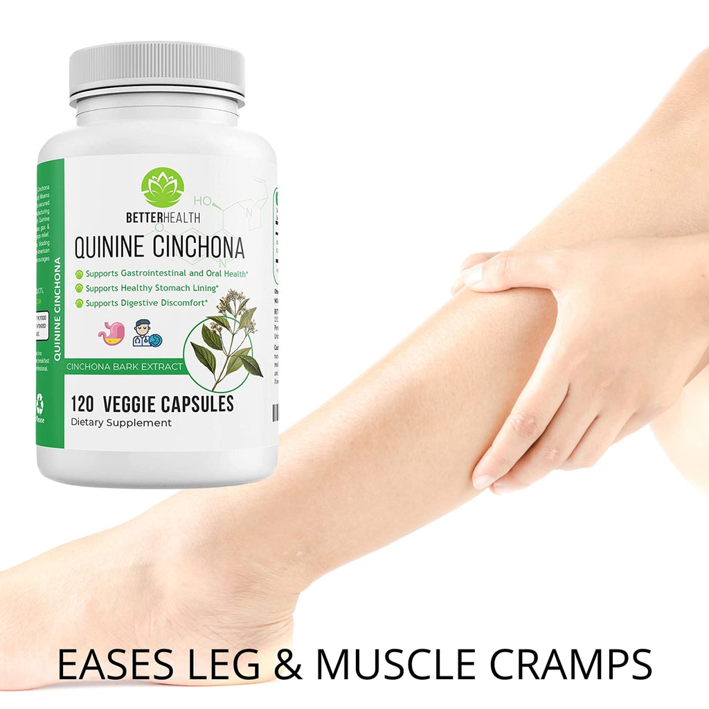 Support digestive health with herbs