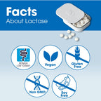 support digestive health with lactase