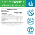 support digestive health with Morter enzymes