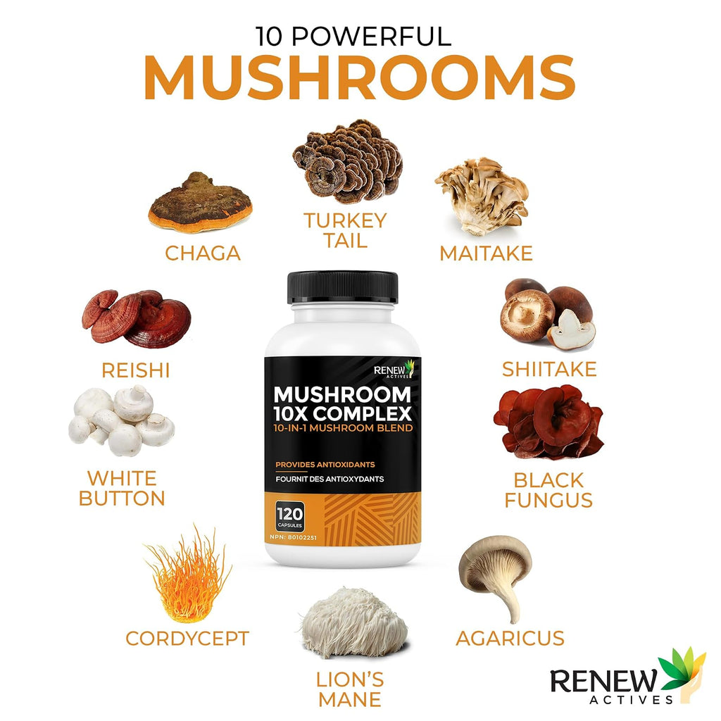 support digestive health with mushroom blends