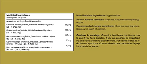 support digestive health with mushrooms