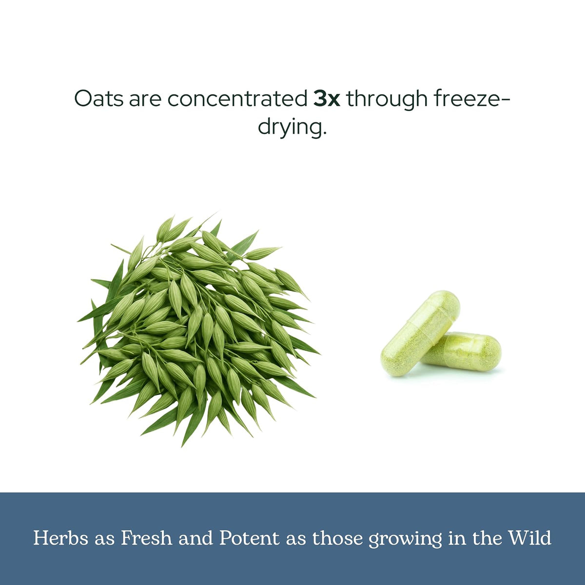 support digestive health with oats