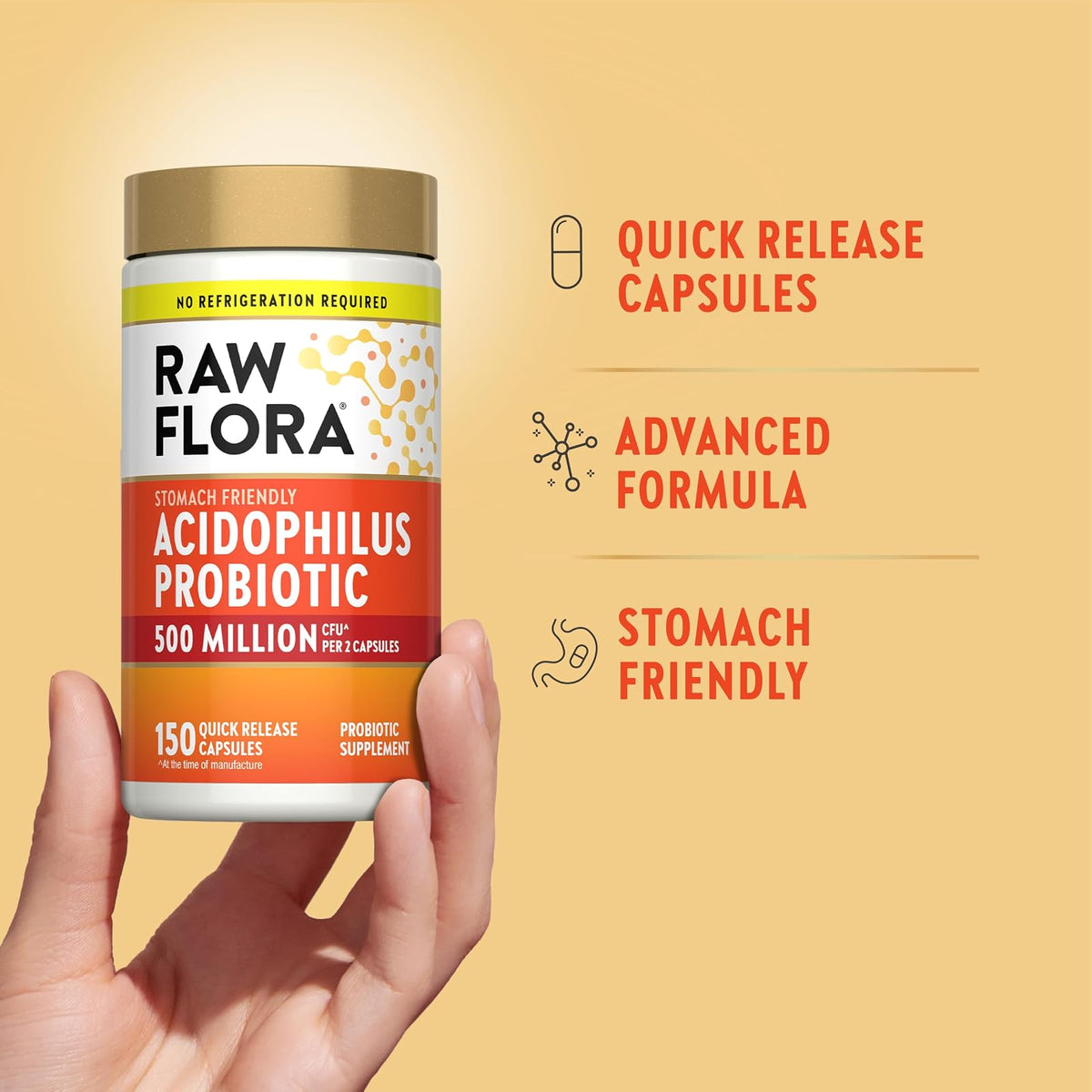 support digestive health with probiotics