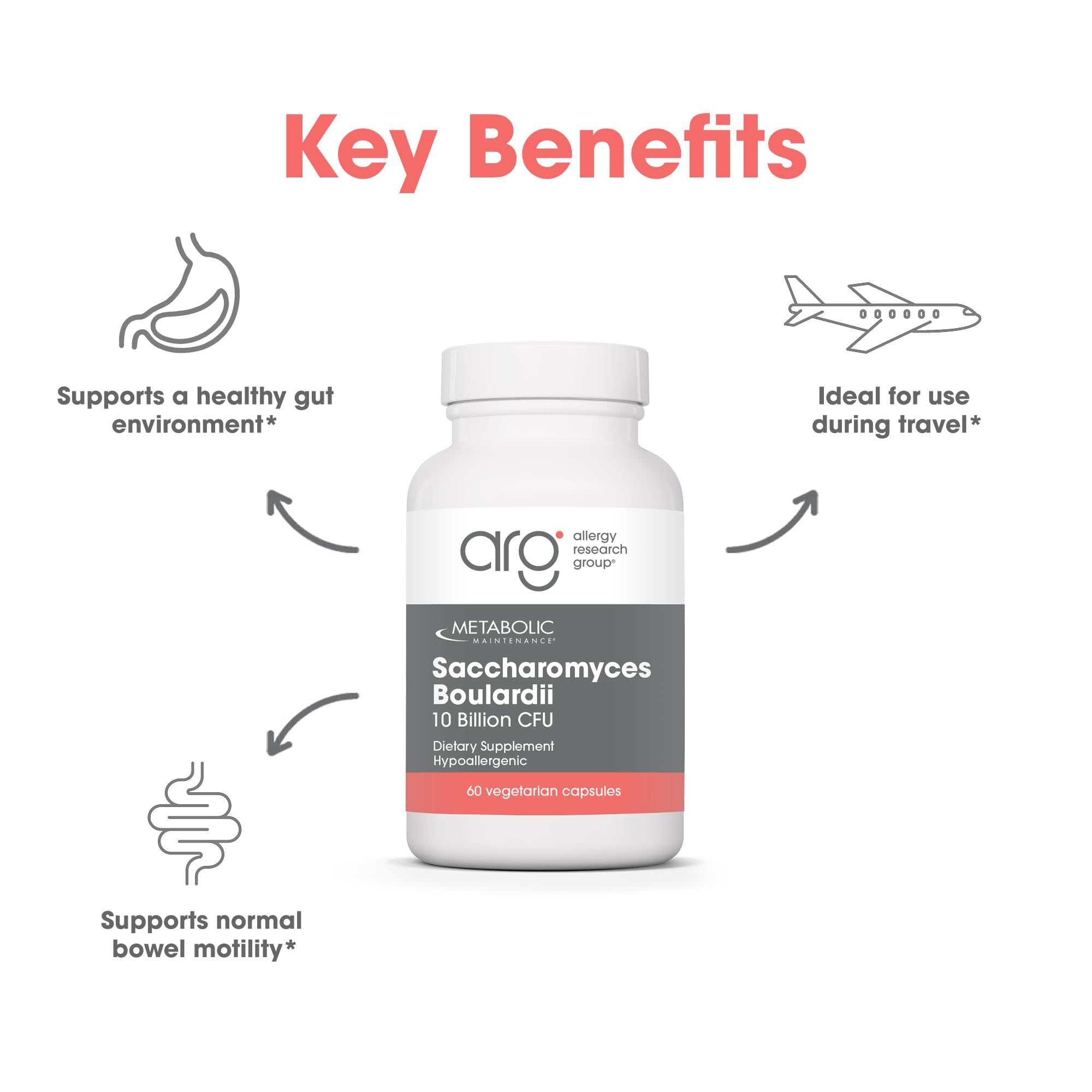 support digestive health with probiotics