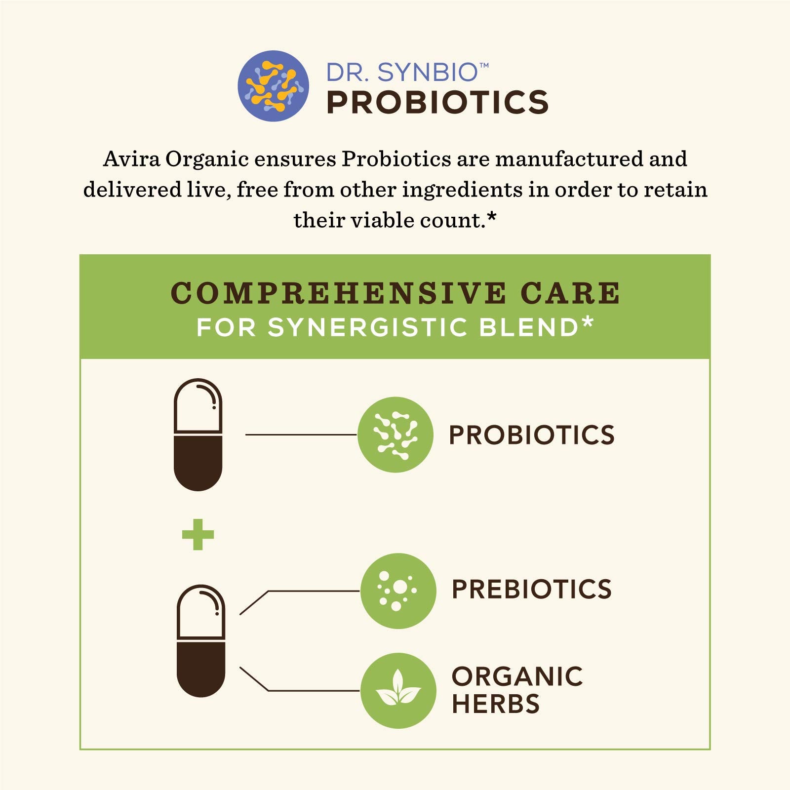 support digestive health with probiotics