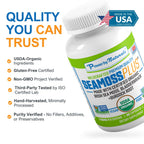 support digestive health with sea moss
