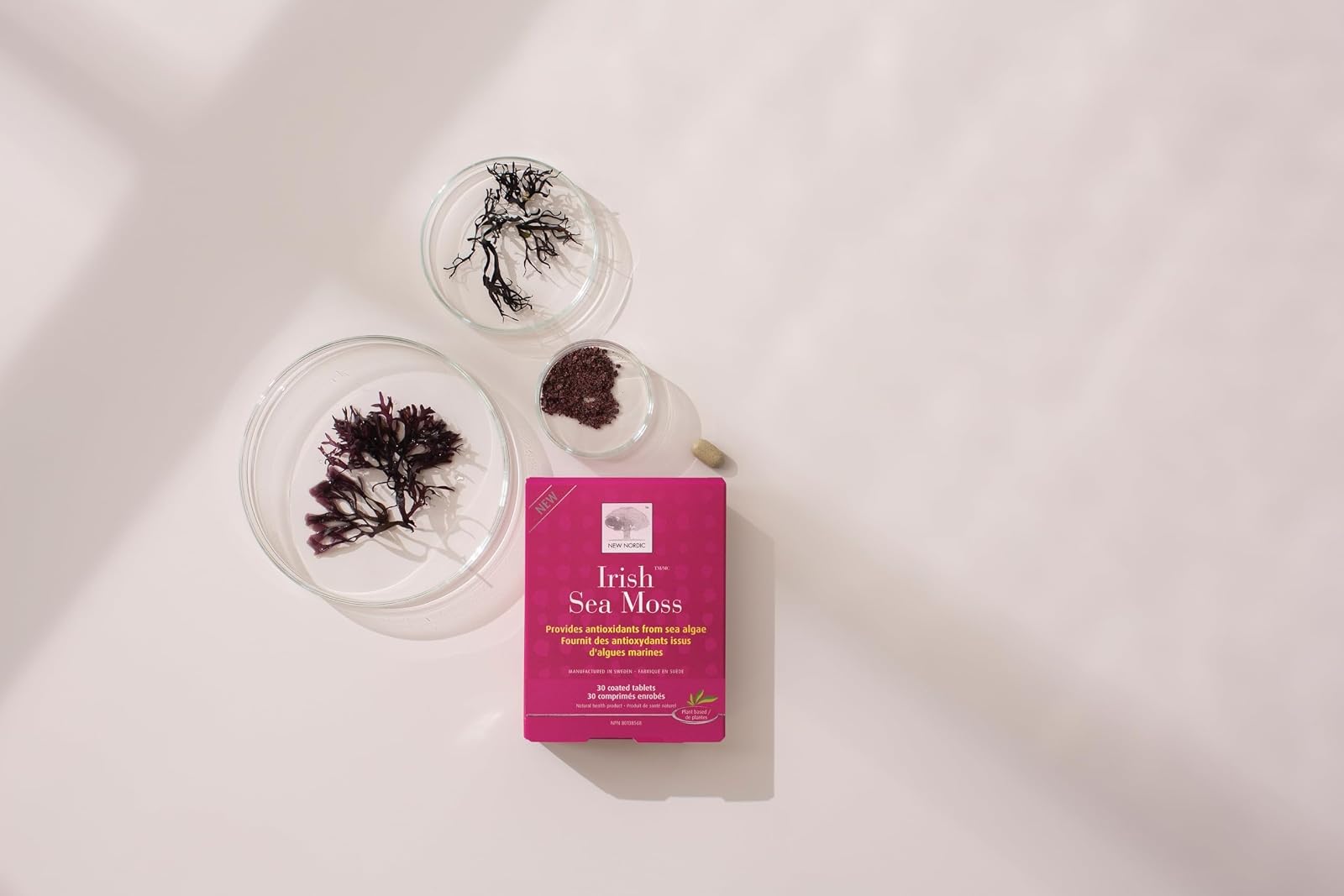 support digestive health with sea moss