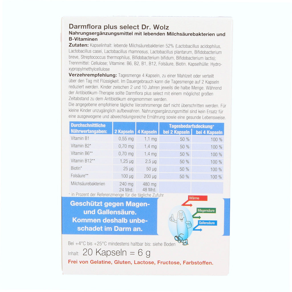 support digestive health with supplements