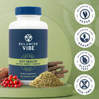 support digestive wellness daily