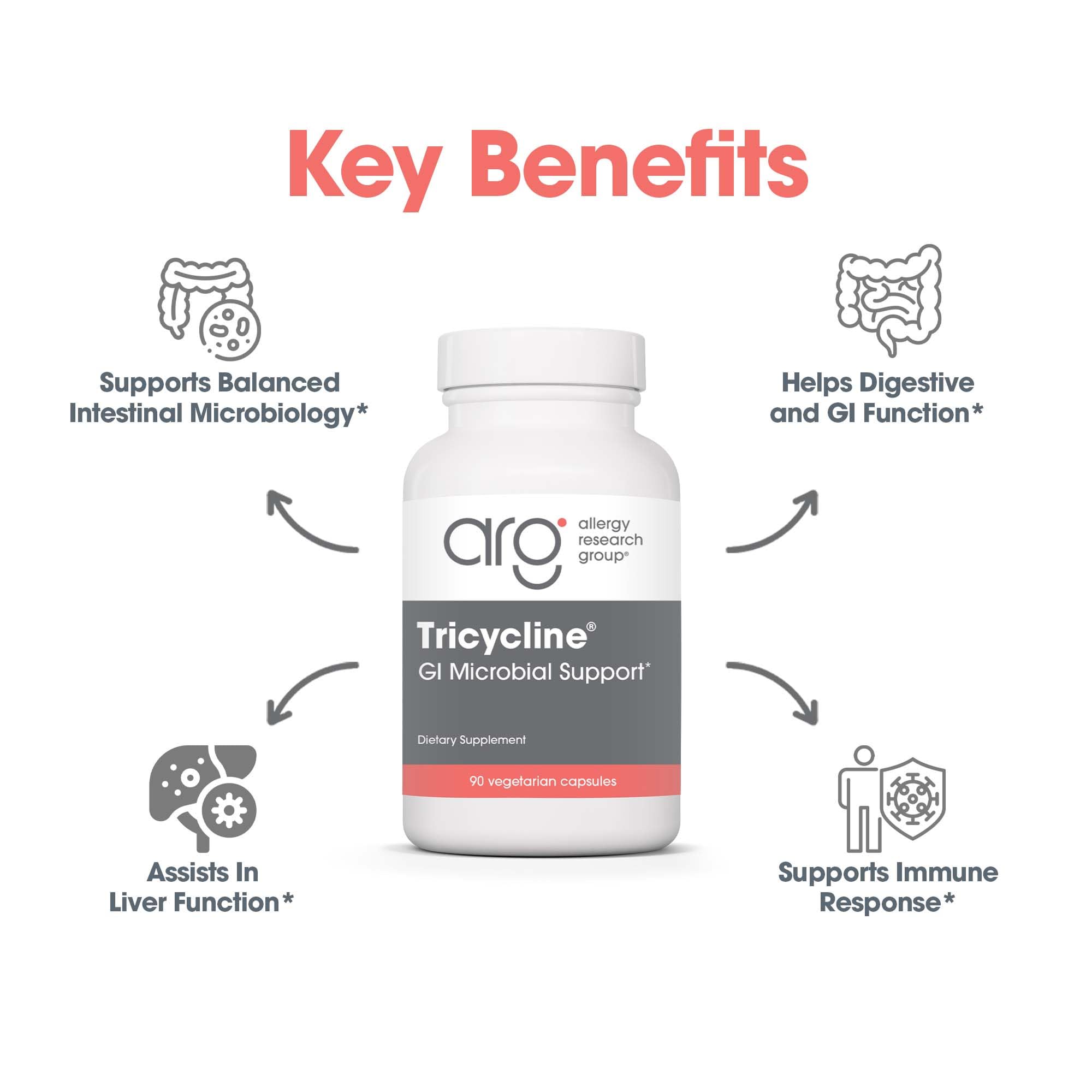 support digestive wellness naturally