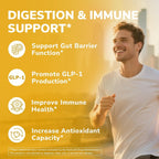 support digestive wellness with Akkermansia