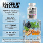 support digestive wellness with charcoal