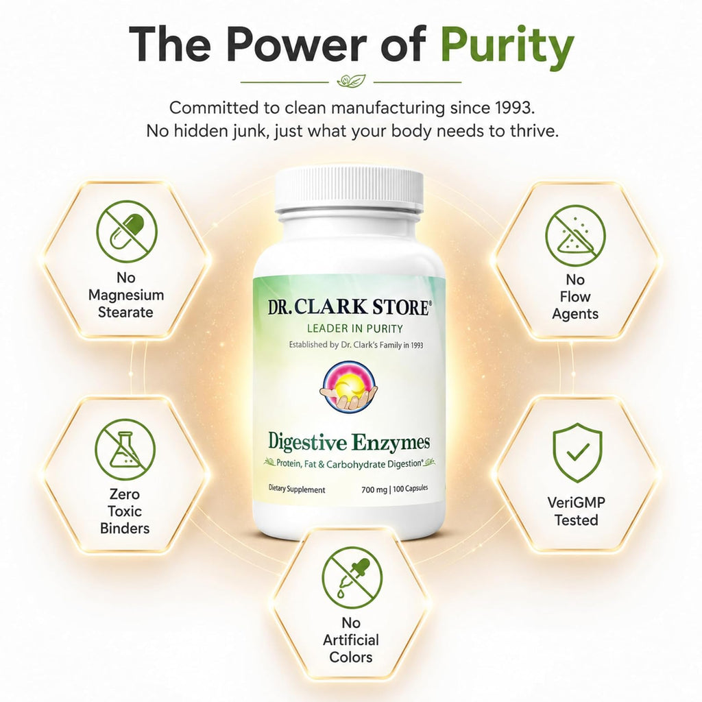 support digestive wellness with enzymes