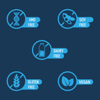 support digestive wellness with ginger