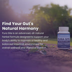 support digestive wellness with turmeric