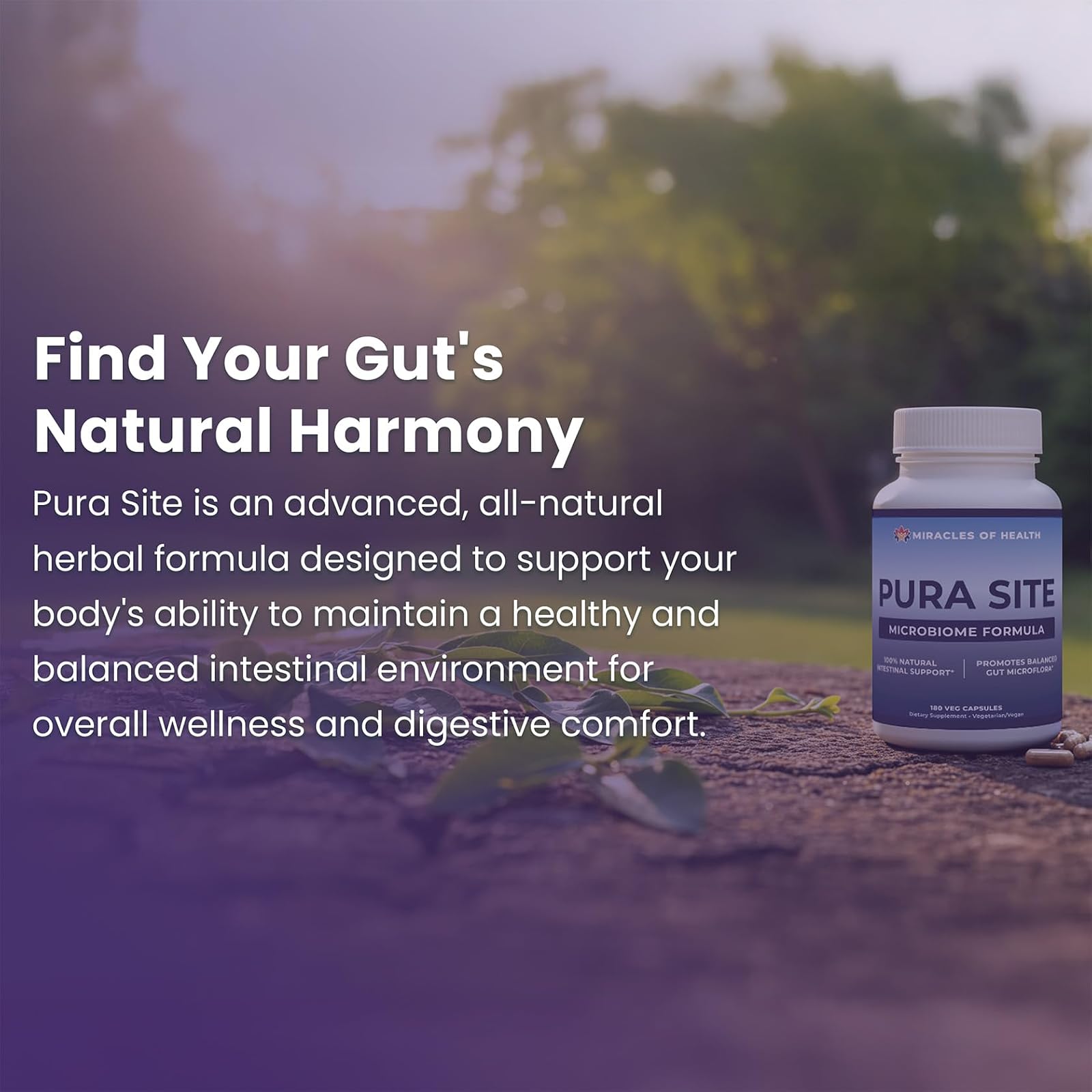 support digestive wellness with turmeric