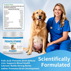 Support dog prenatal nutrition needs