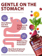support energy levels with iron