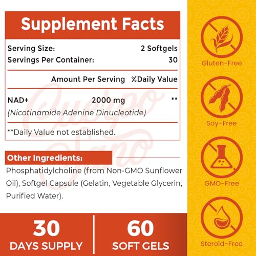 support energy levels with NAD+