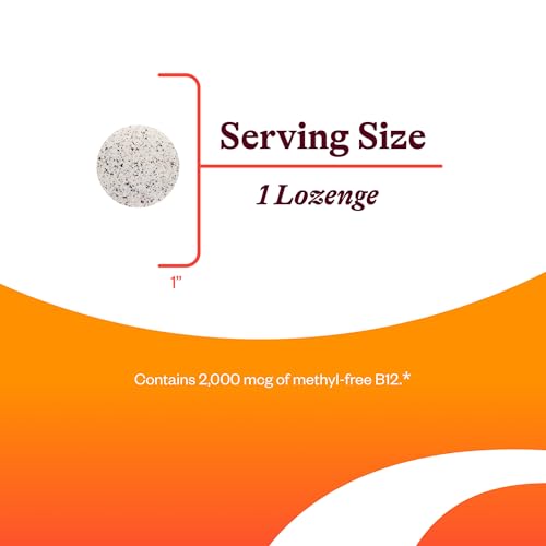 support energy levels with vitamin b12
