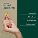 support energy with fermented beets