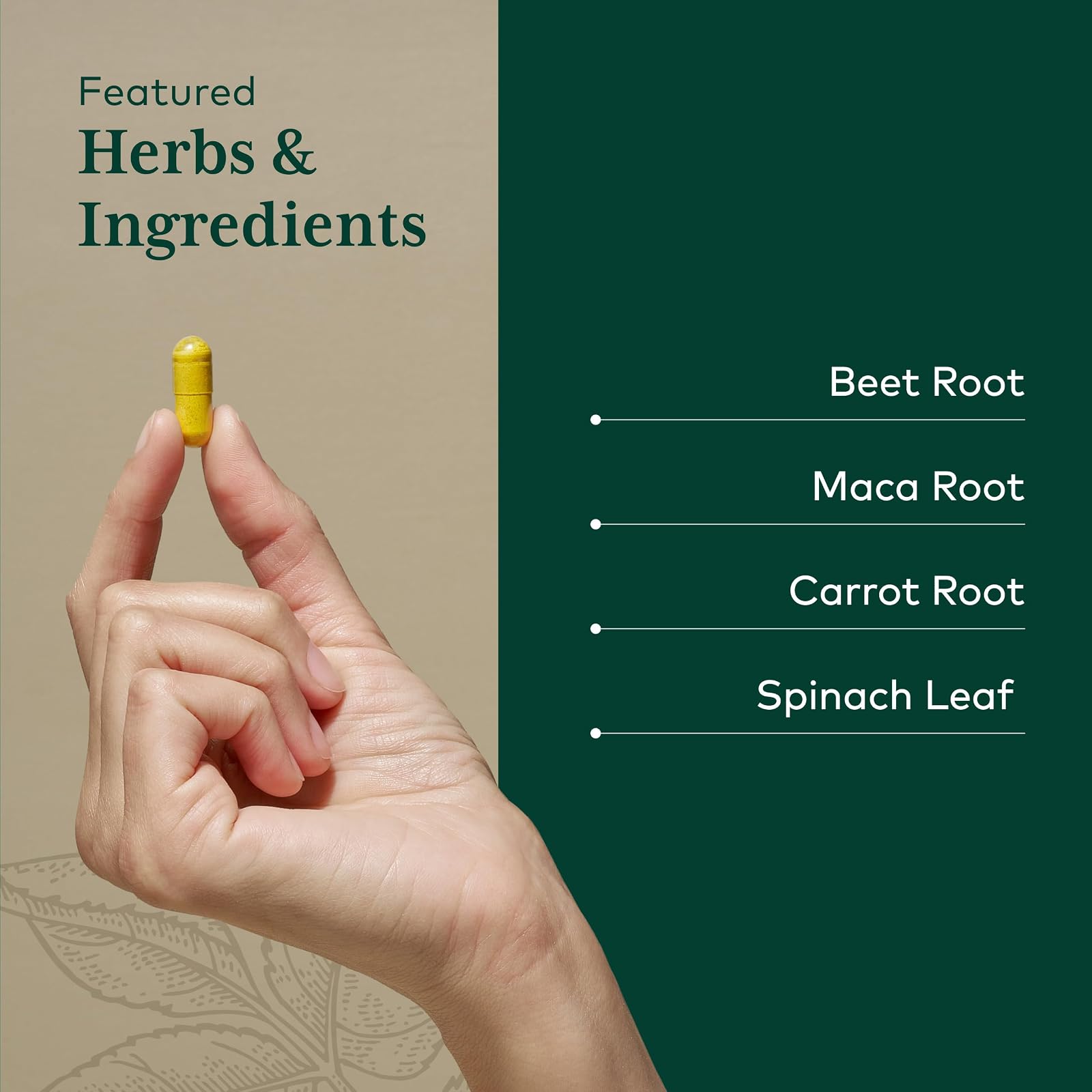 support energy with fermented beets