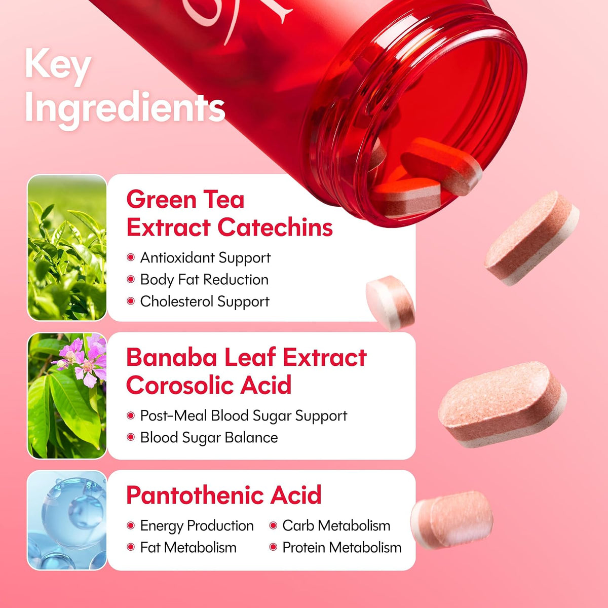 support fat burning with green tea catechins