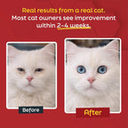 Support feline immune system health