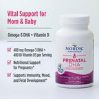 support fetal brain development DHA