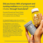 Support fetal development with DHA