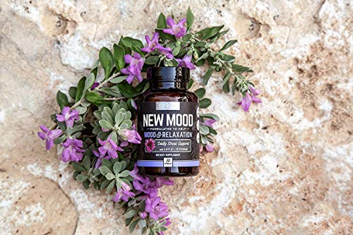 support focus and concentration with ONNIT