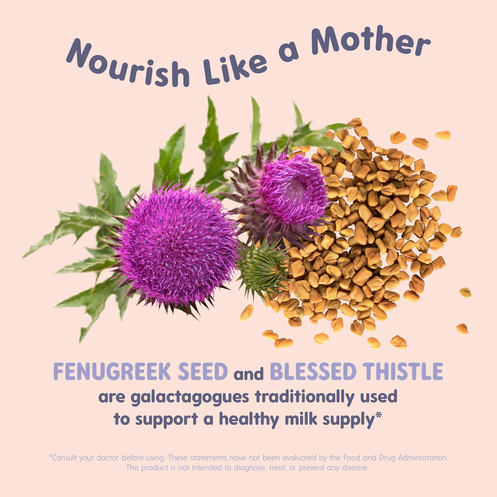 support for breastfeeding with herbs