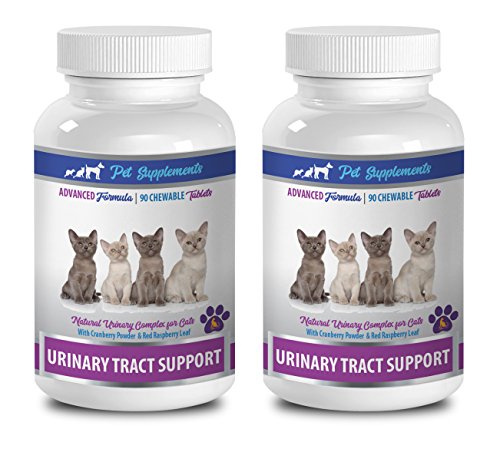 support for cat urinary health