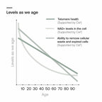 support for daily wellness routine